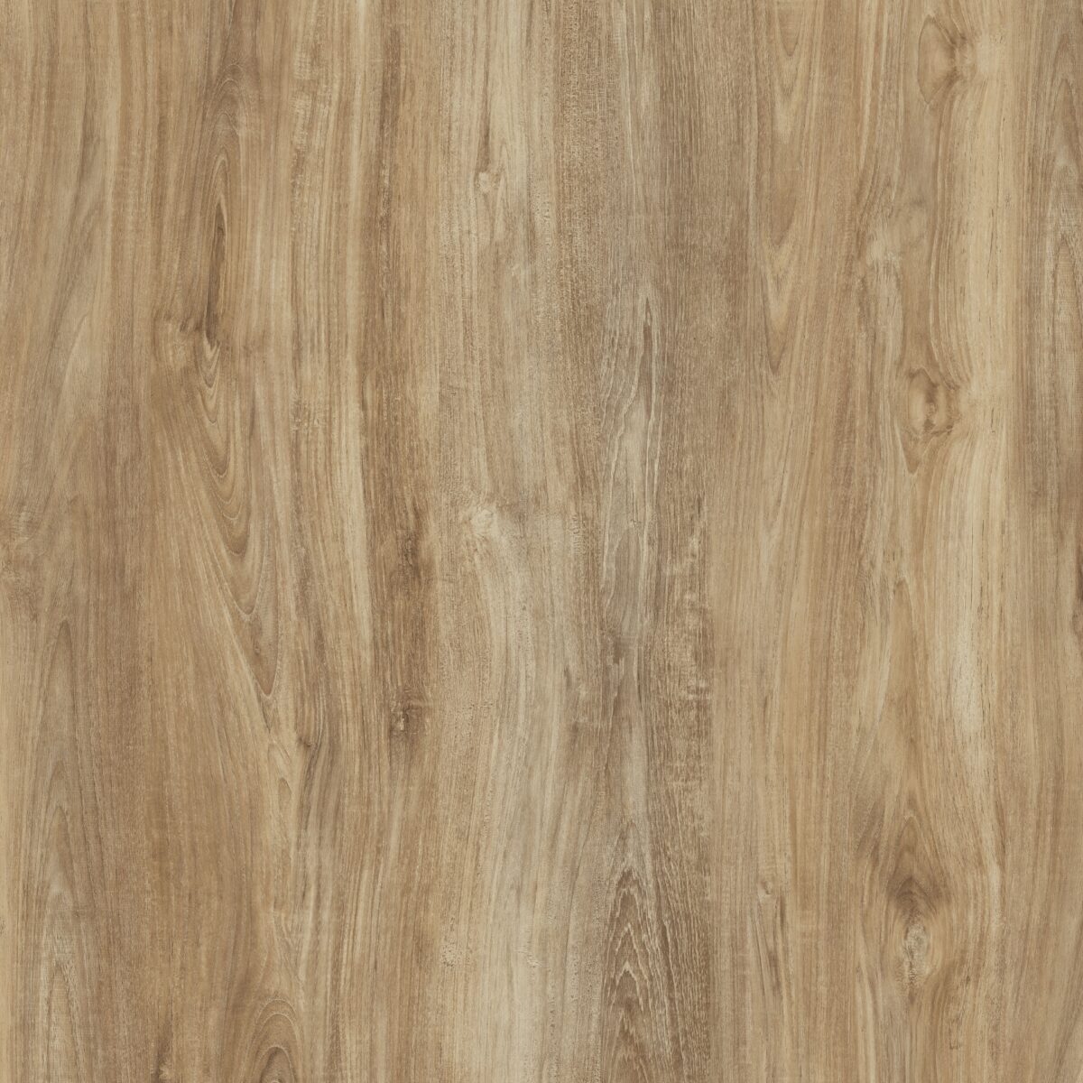 Cliffy Wood – Toppan Interamerica, Inc.